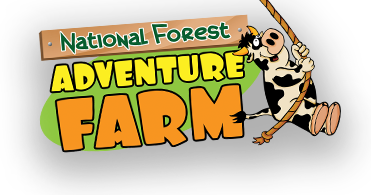 Day Camps - National Forest Adventure Farm